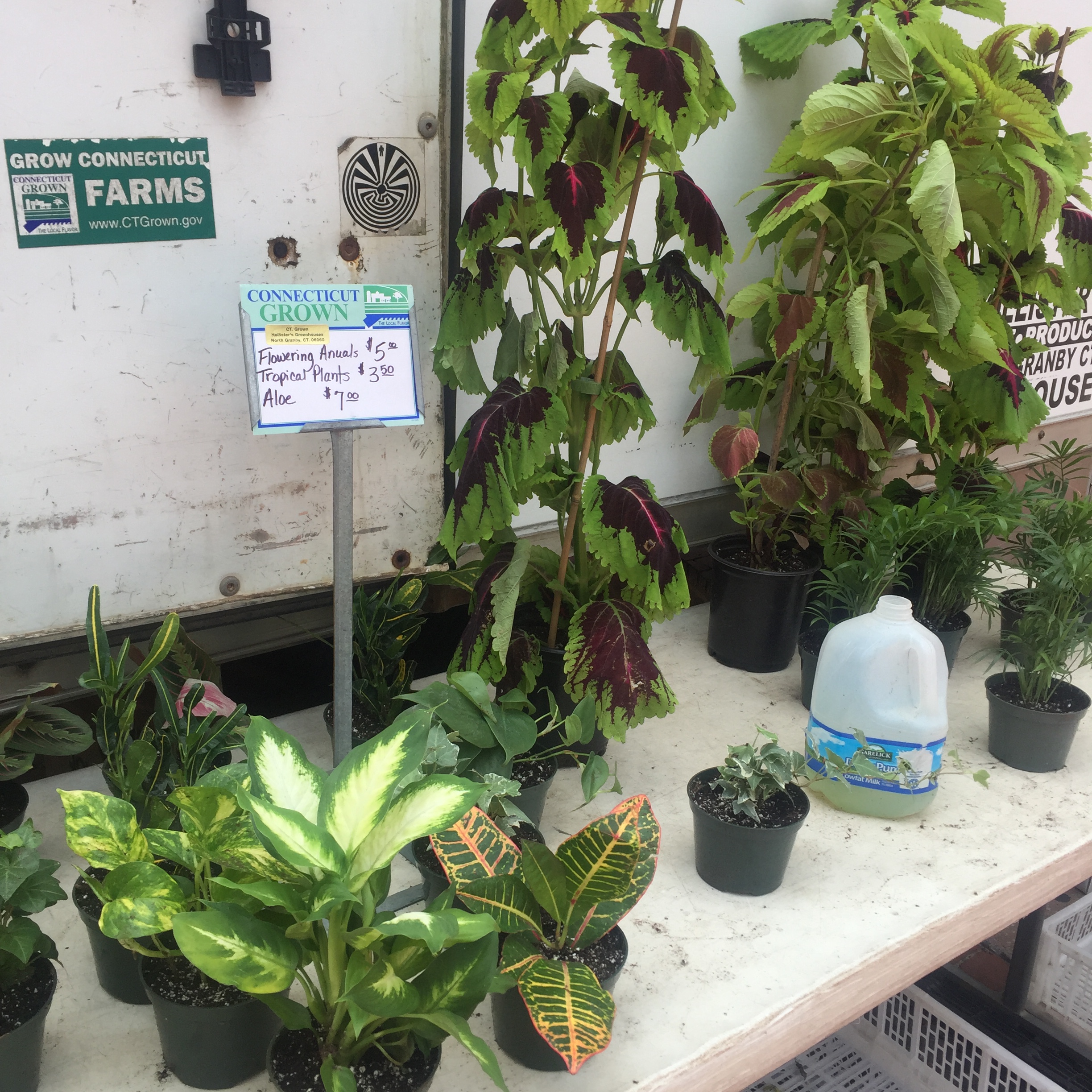 Best 5 items at Hollister Farm Stand, Hartford, CT - Natural soaps and ...